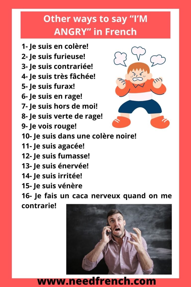 Expressing Your Opinion in French - NeedFrench