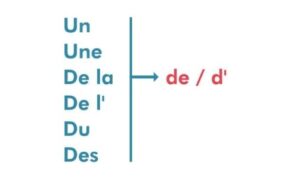 When to use “Du or De” French Grammar - NeedFrench