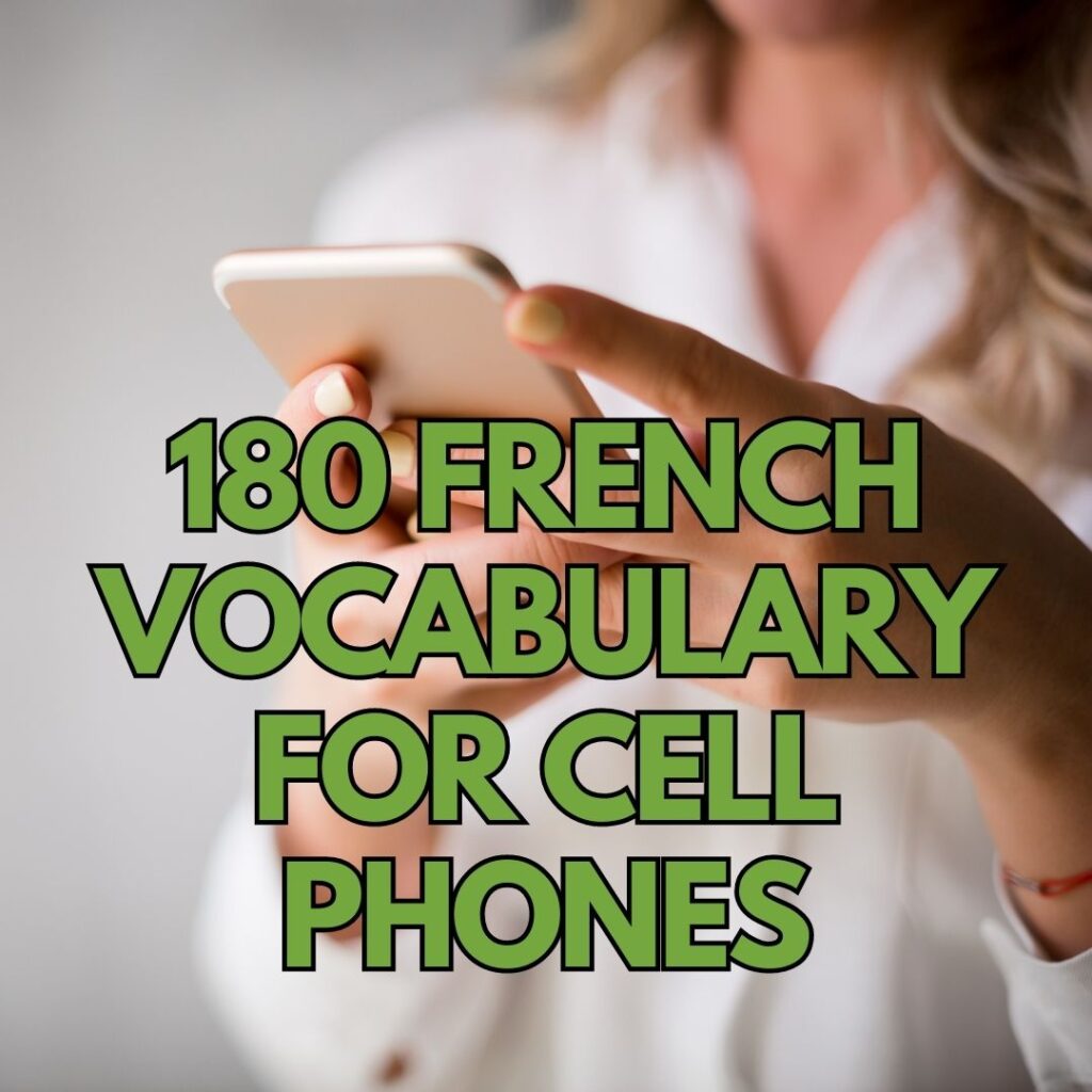 125 Essential French Airport Terms for Travelers - NeedFrench