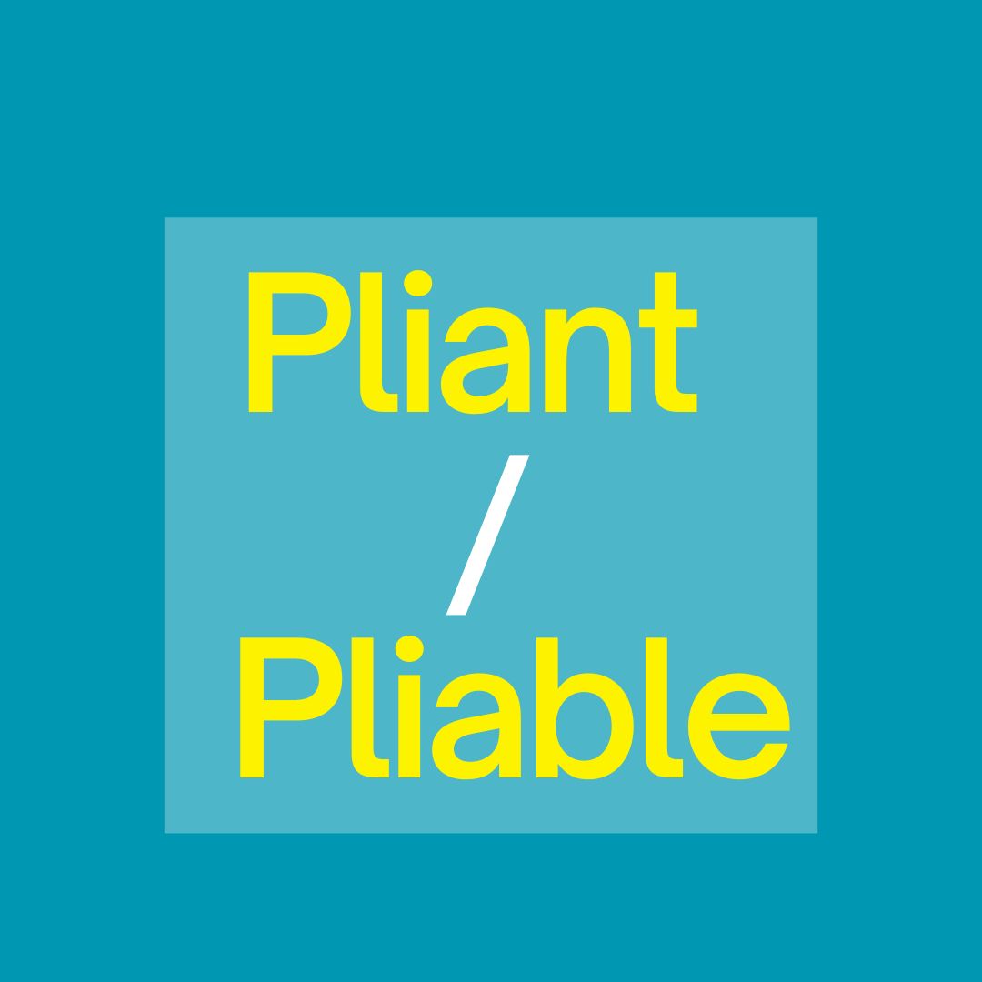 Pliant vs Pliable - NeedFrench Pliant vs Pliable - NeedFrench
