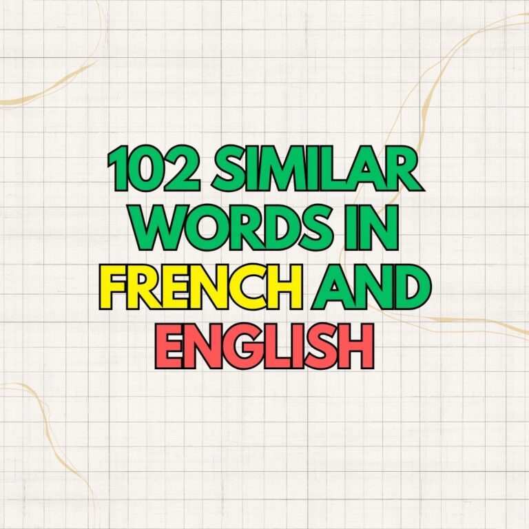 17 ways to say "it's cheap" in French - NeedFrench